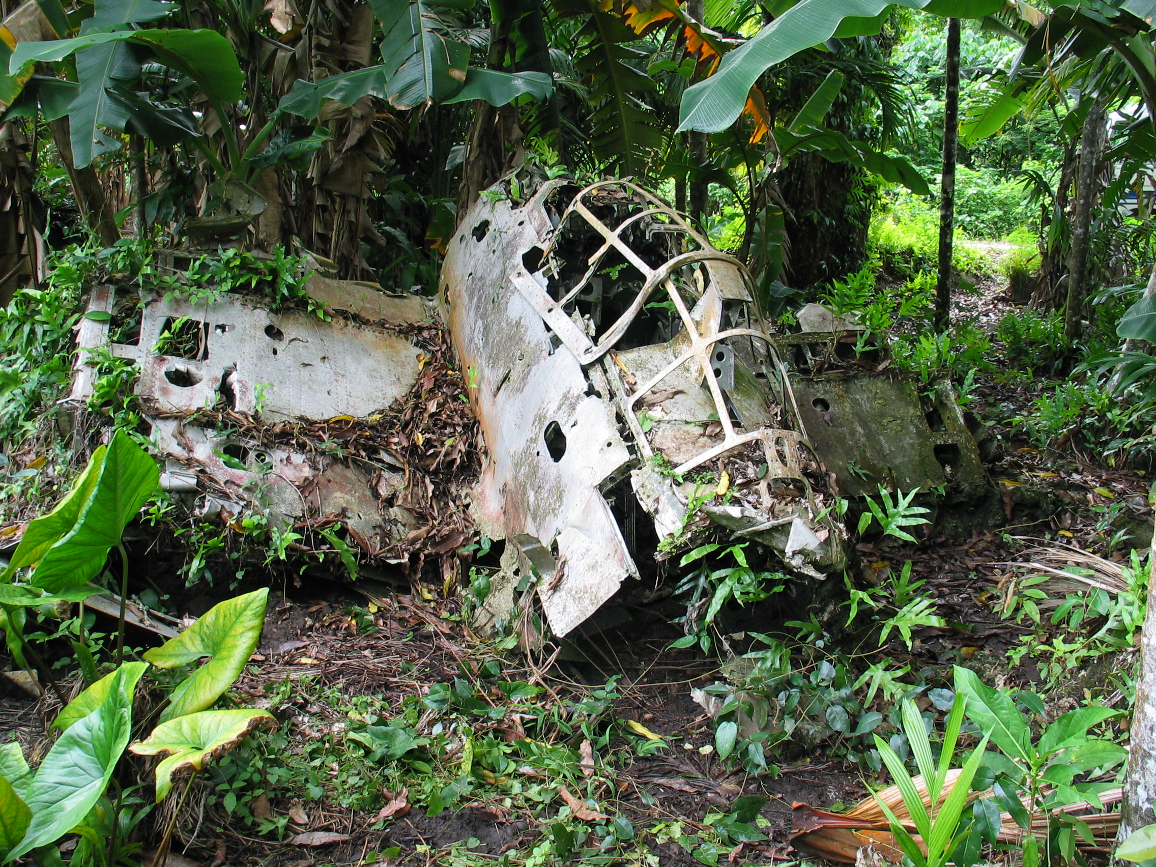 Exploring Peleliu